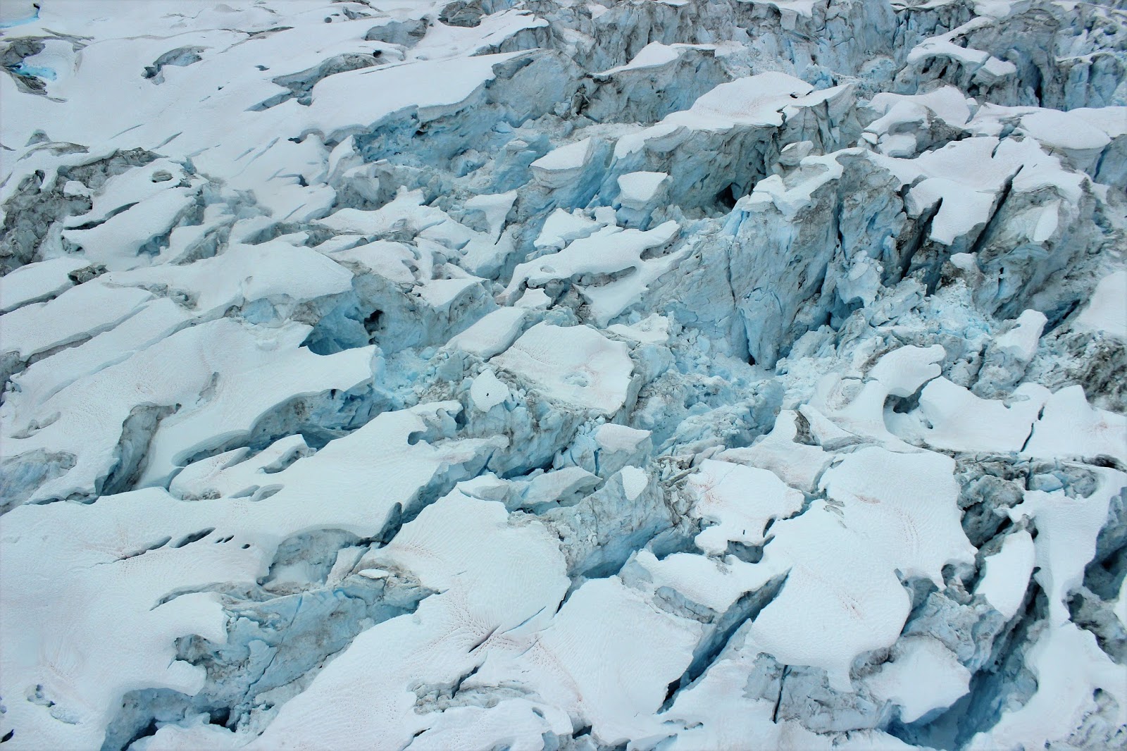 Souvenir Chronicles: ALASKA! TAKING A TAXI TO THE TOP OF DENALI AND ...