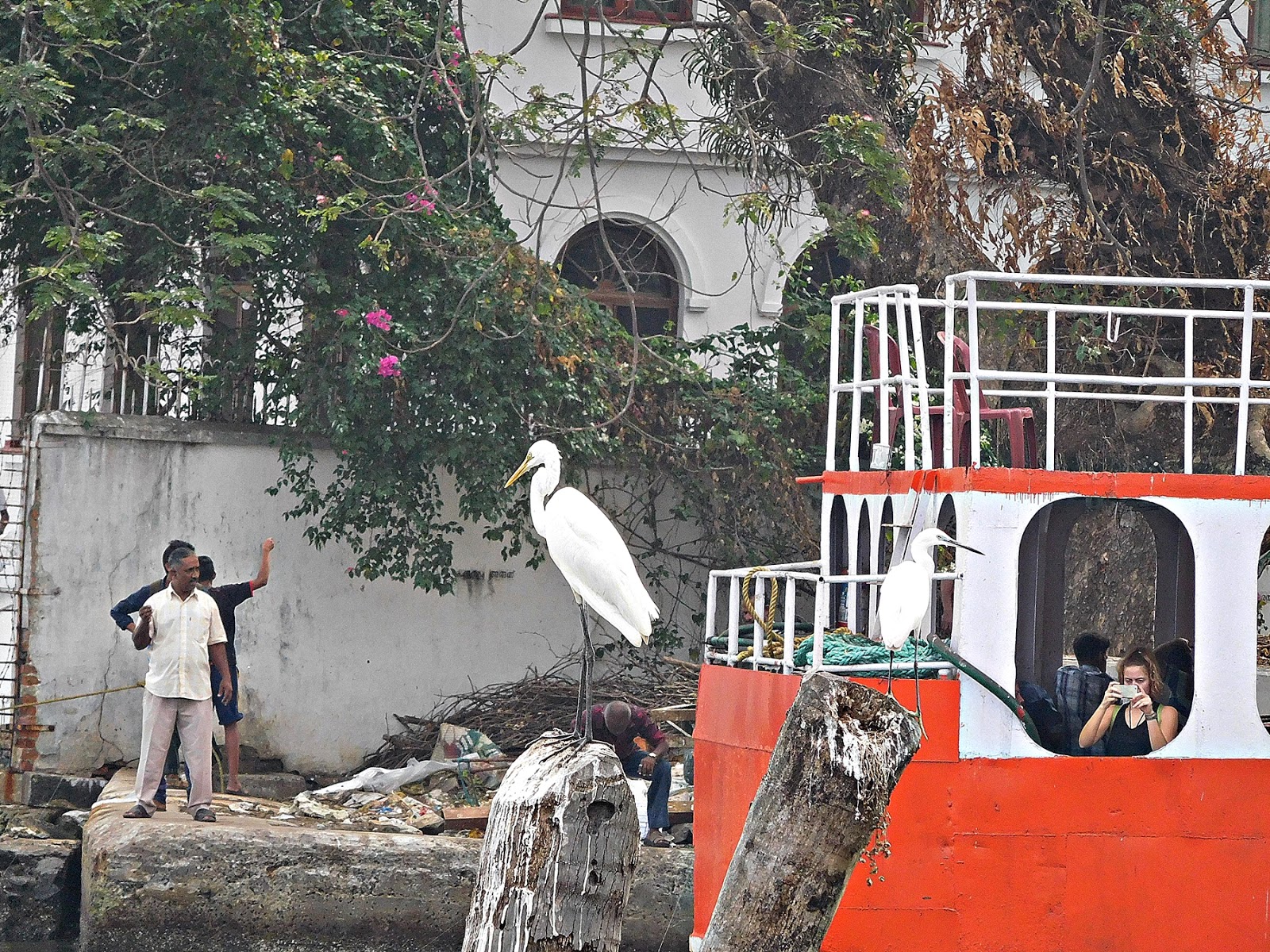 OPEN YOUR MIND : VISITING VYPIN ISLAND - a lovely excursion from Cochin