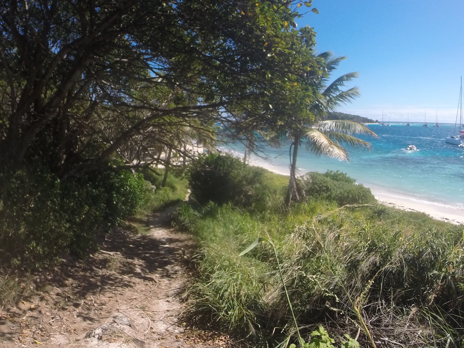 Sailing Rocks!: Tourist time in the Tobago Keys