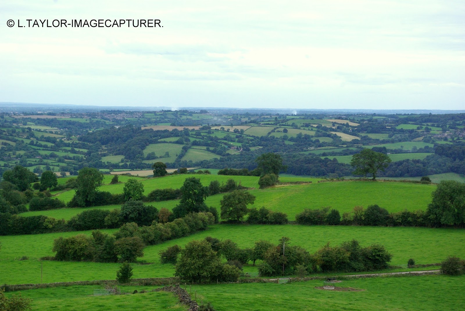 IMAGECAPTURER.: ALPORT HEIGHTS.