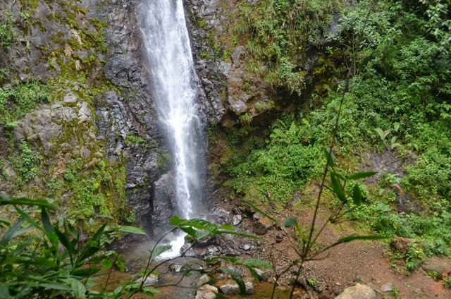 Disfruta de la montaña a través de nuestra guianza, rutas y senderos ...