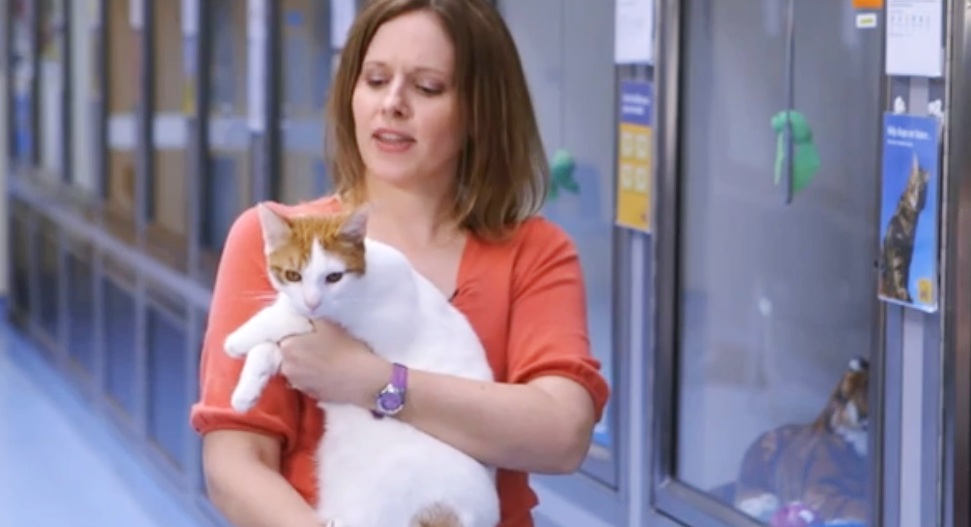 Econcientiza: Una especialista aclara algunas pautas de comportamiento ...