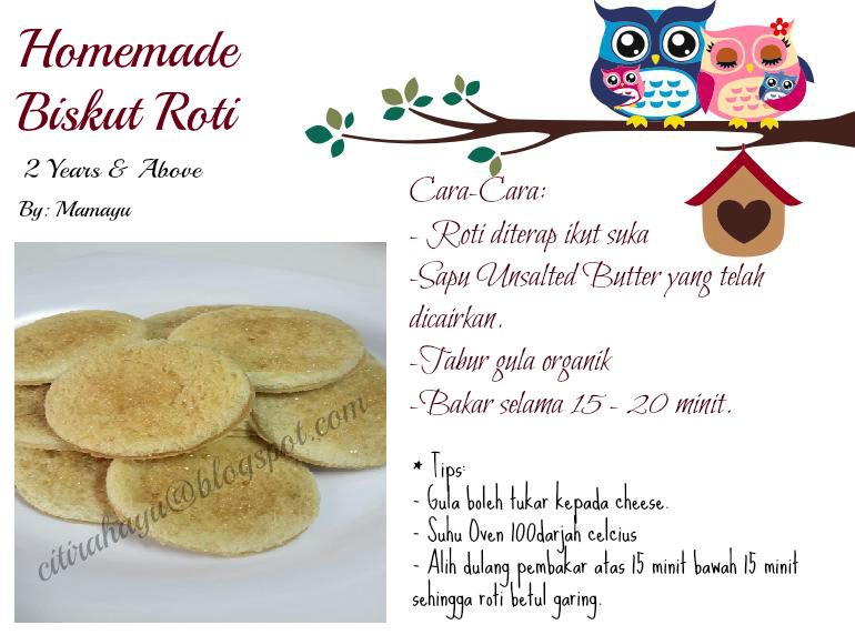 HOMEMADE BISKUT ROTI - 2 Years N Above