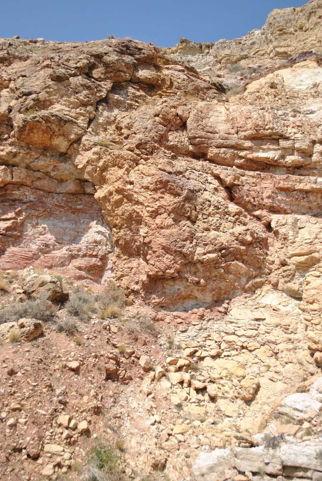 Little Sheep Mountain Anticline - Fracture Analysis: Breccia