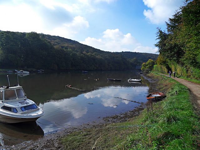 Mike's Cornwall: A Walk At Lerryn, Cornwall With River and Country ...