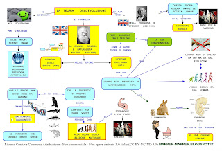MAPPER 2: dicembre 2012
