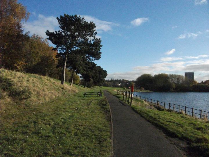 Vinnyman's Birding and Nature Blog.: Witton Lakes and Brookvale Park ...