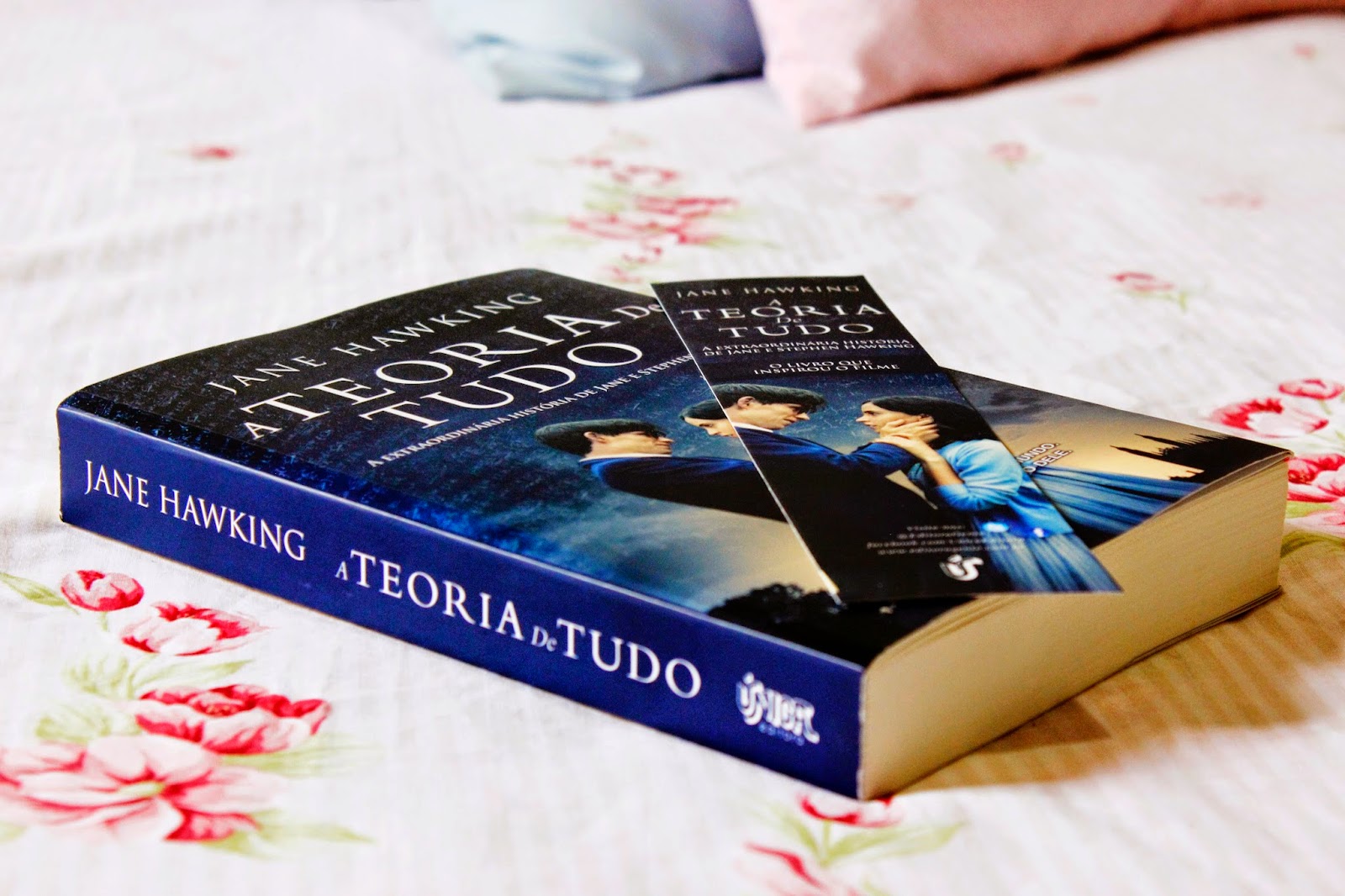 LIVRO - A TEORIA DE TUDO