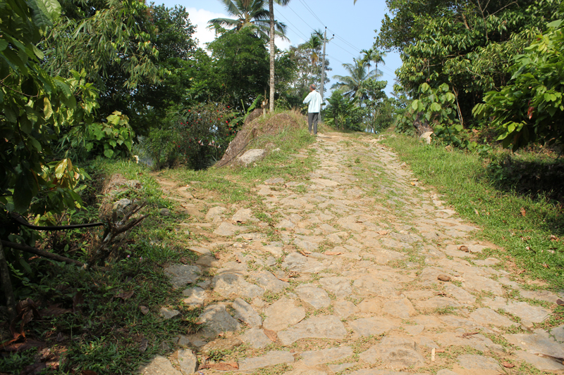 Kerala Hills: Vayalada - Balussery, Kozhikode