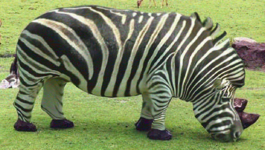 My Quite Swell Blog: Zebra-Rhino (Almost Done)
