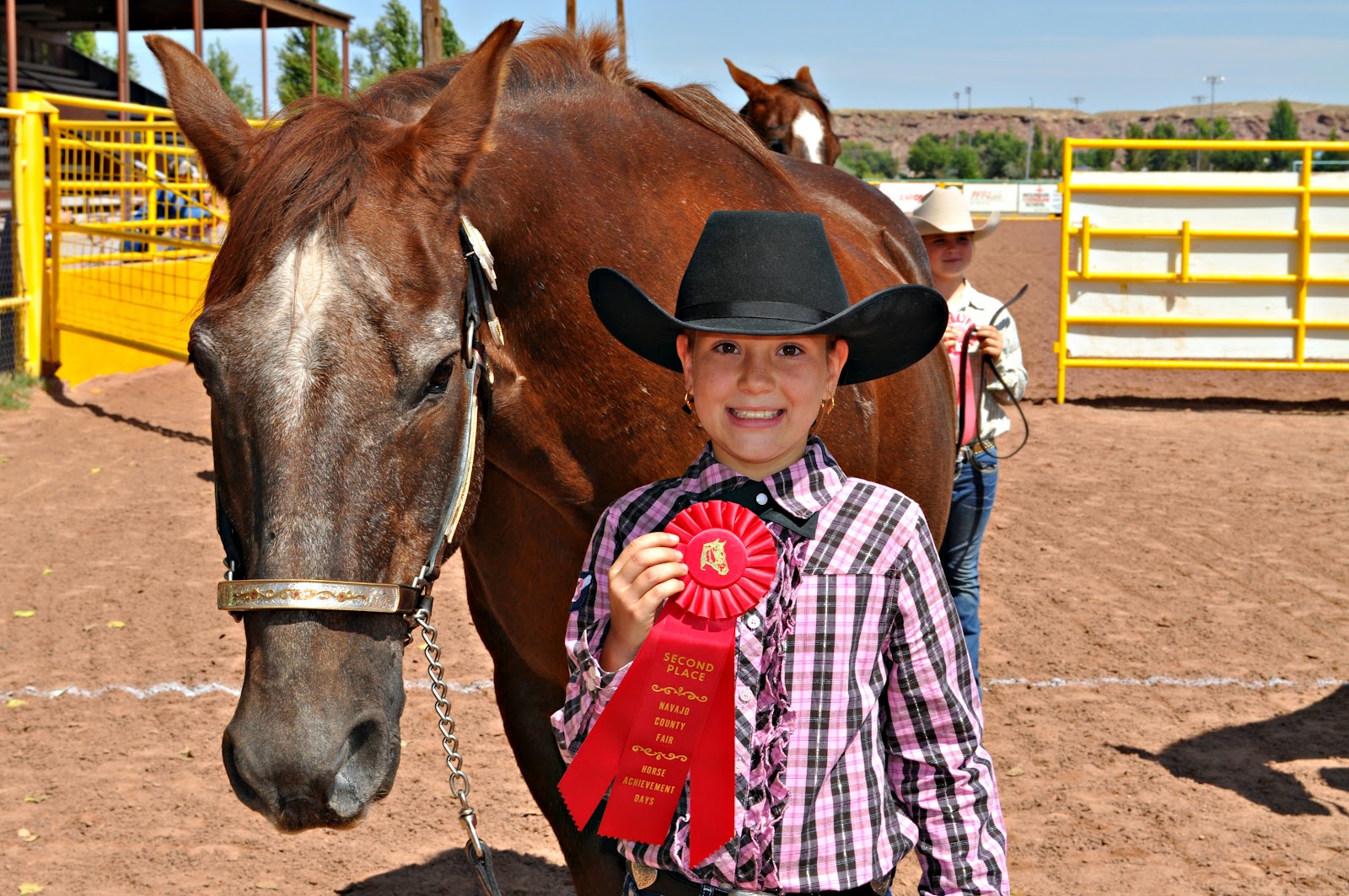 Wranglers and Ribbons: Horse Show Results