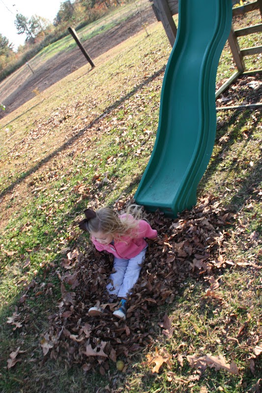 Maggie Elizabeth: Sliding + Leaves = Fun