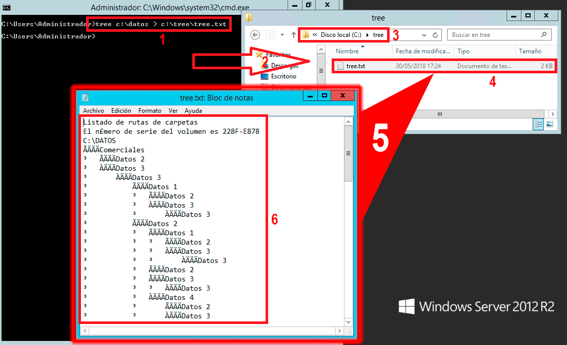 Pantallazos.es: Microsoft Windows CMD: TREE listar Árbol de directorios.