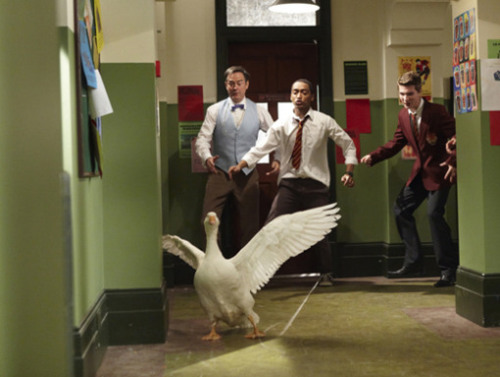 BOG ends wild goose chase, jumps off Julian White bandwagon