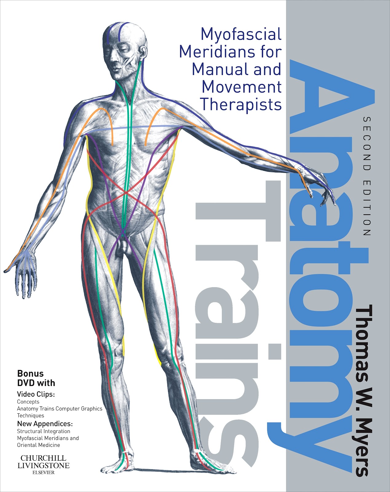 Kine Corp: [025] Anatomy Trains: Myofascial Meridians for Manual and ...