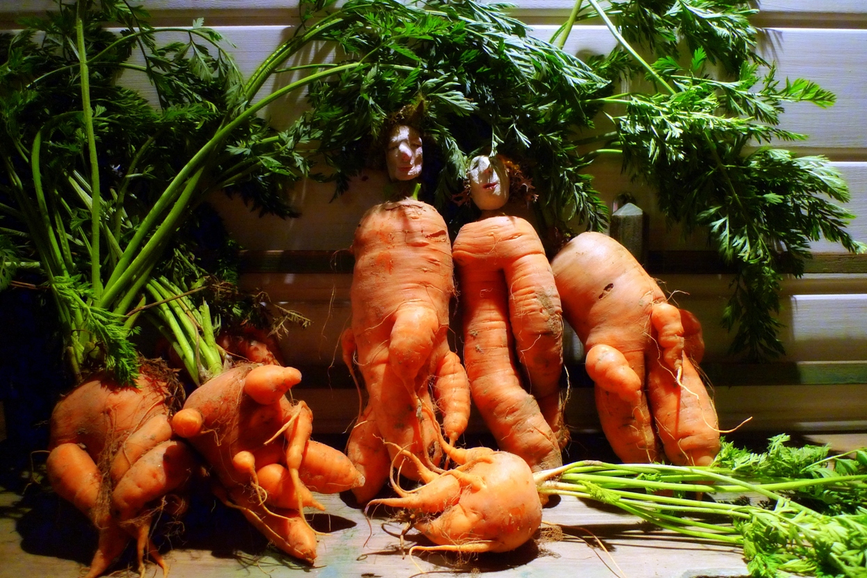 And How About… Carrot People? | Serwis Ekologiczny