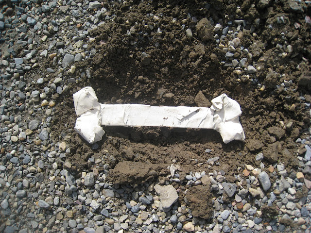 Paleontology for Kids- Digging Up Dinosaur Bones - Teach Beside Me