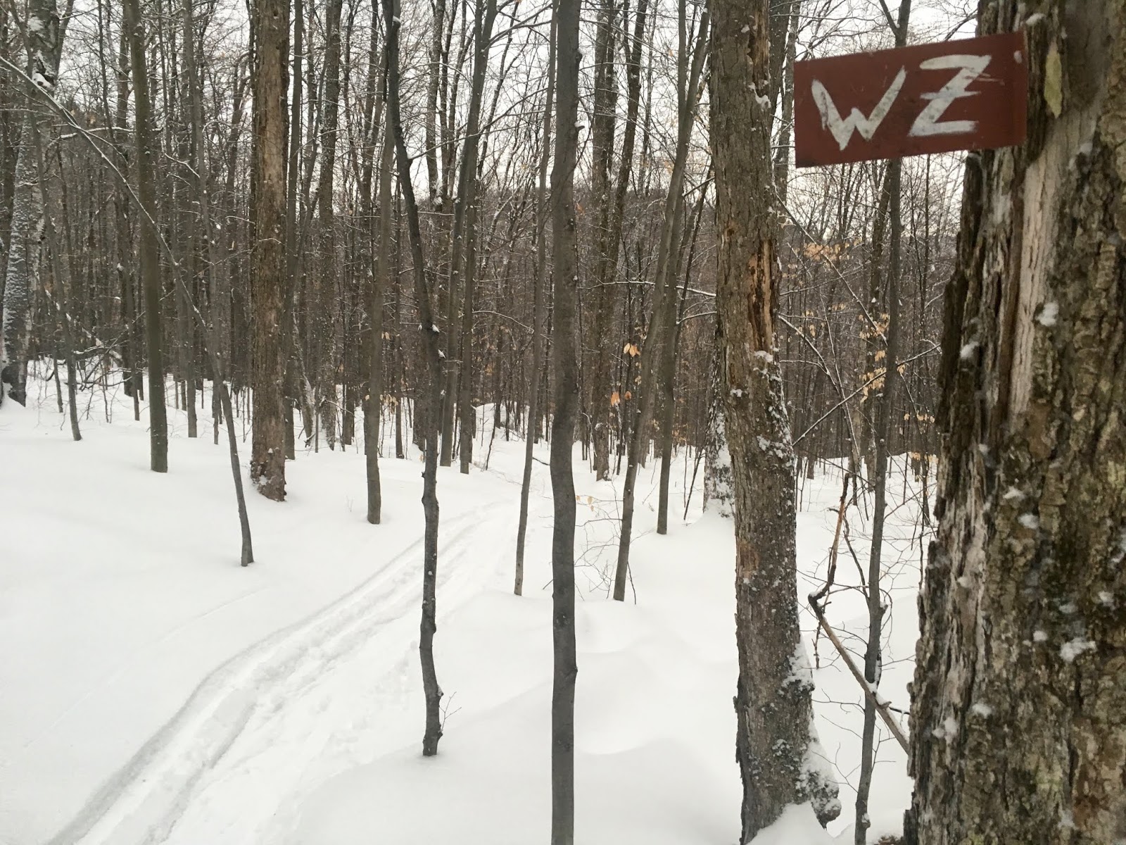 Skiglisse: La Whizzard du sud