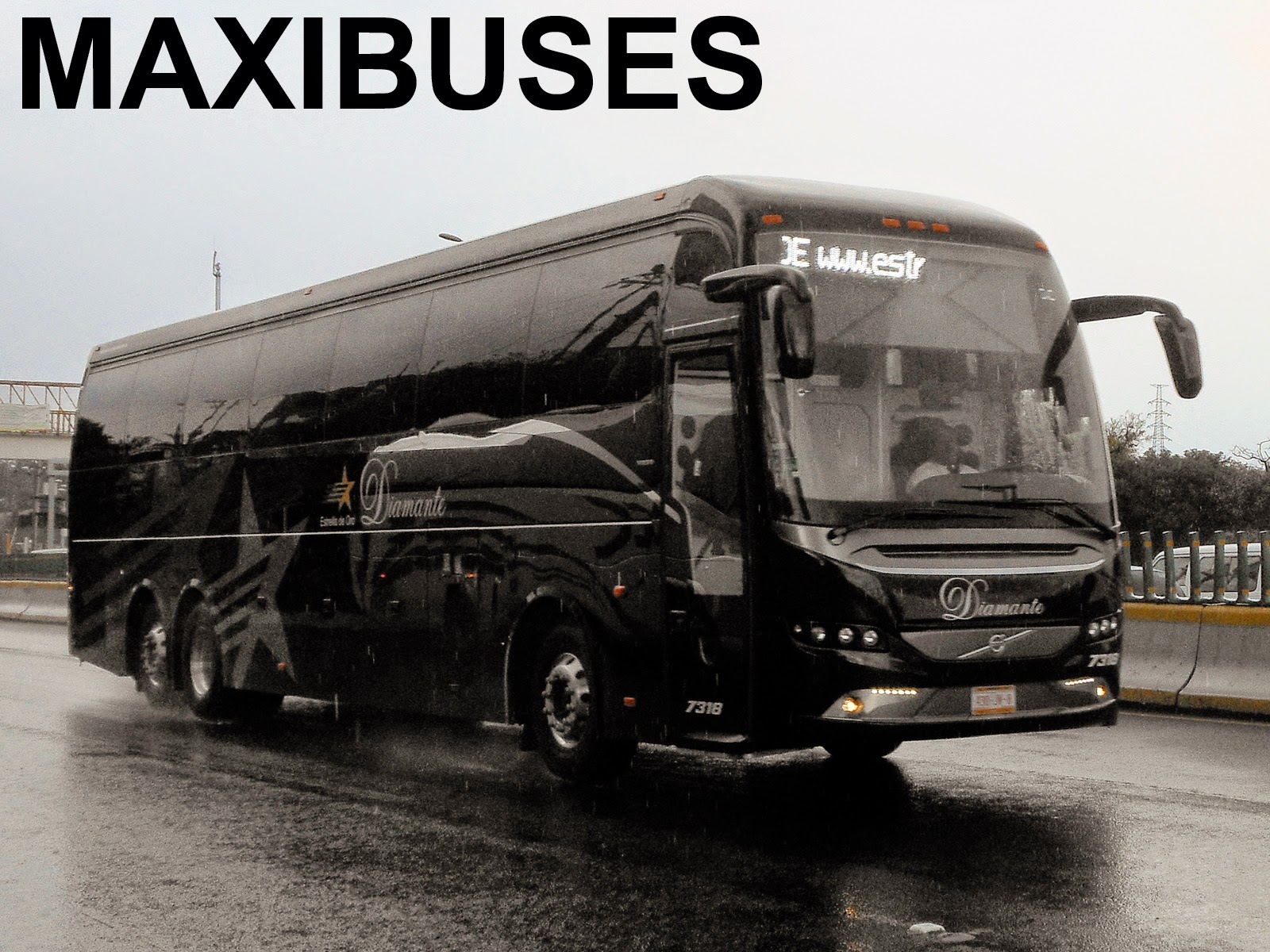 MAXIBUSES: ESTRELLA DE ORO DIAMANTE