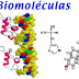 Estudio de las Biomoléculas: Importancia de las Biomoléculas