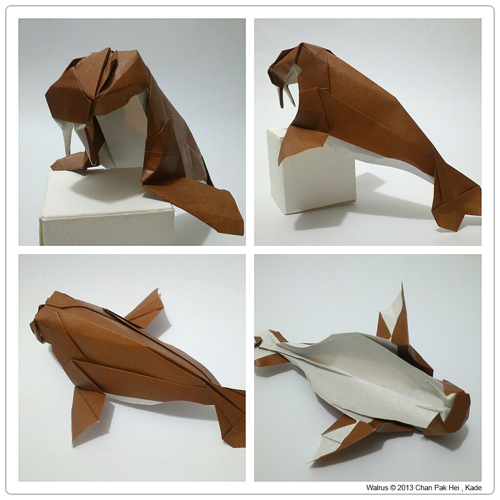 Kade Chan Origami Blog 香港摺紙工作室 (日誌): Walrus 海象