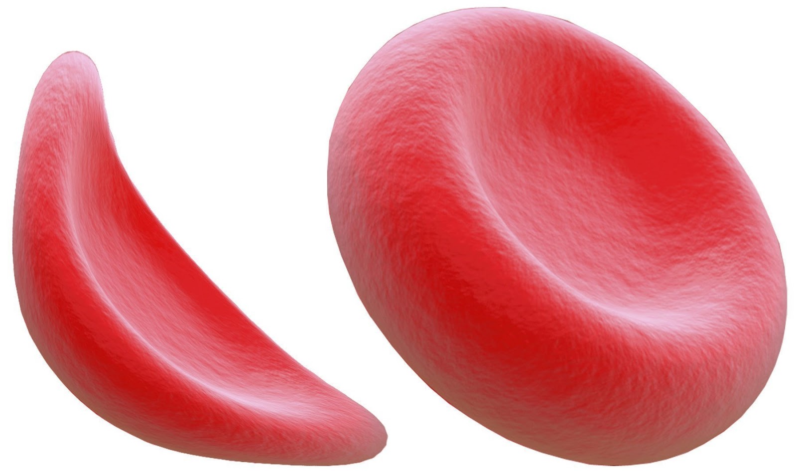 Endari Cost, Side effects, Dosage, Uses for sickle cell disease