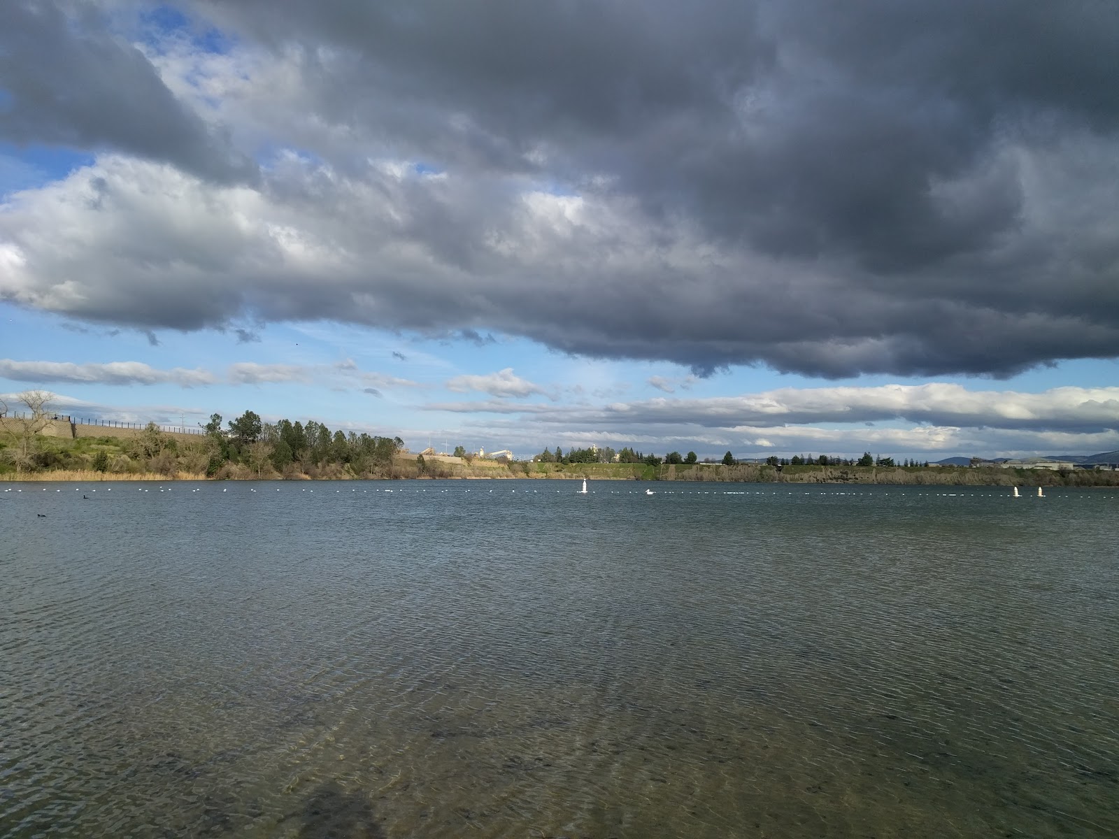Naturetastic Blog: Shadow Cliffs Regional Park - Pleasanton, CA ...