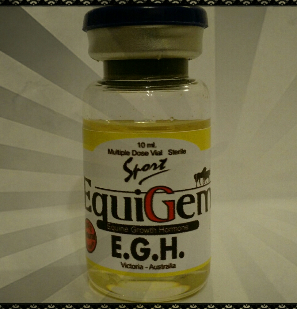 Ekinosexpress Veterinária Equina Bovina Argentina Brasil.'.: EGH ...