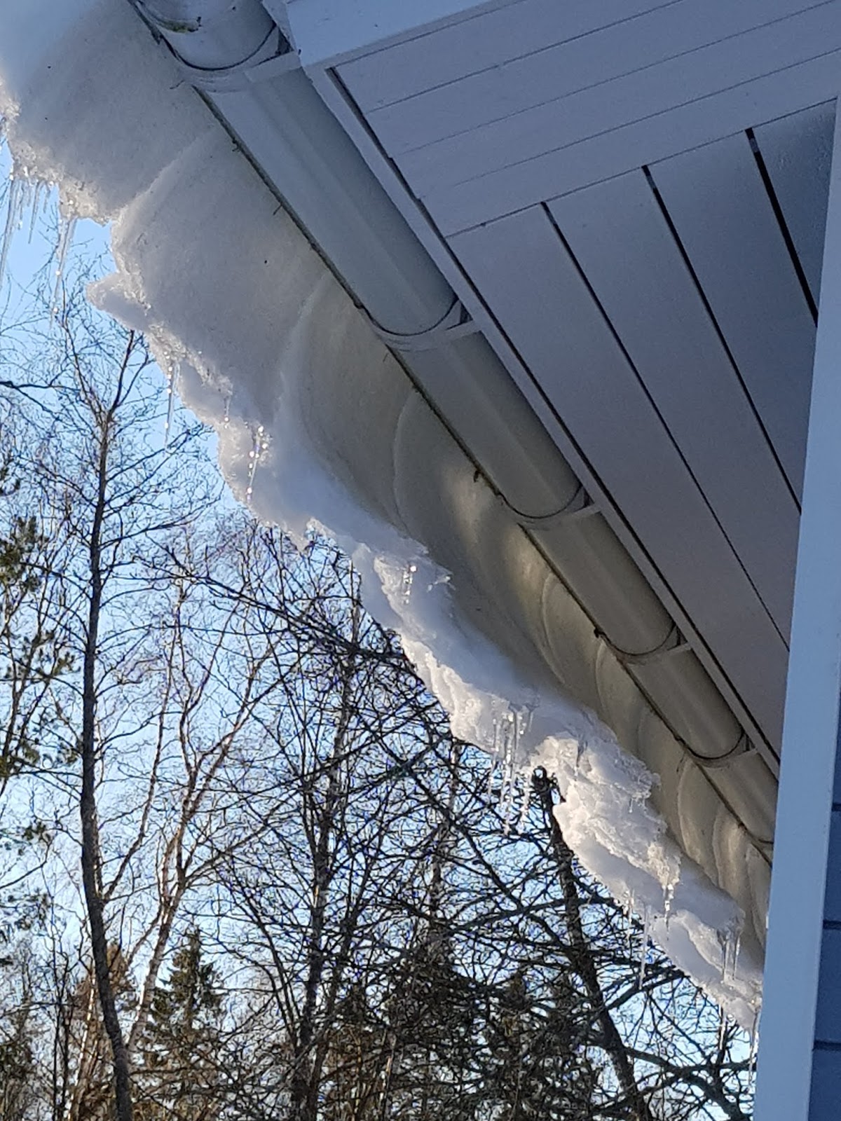 cias1975: Springfeeling in winter