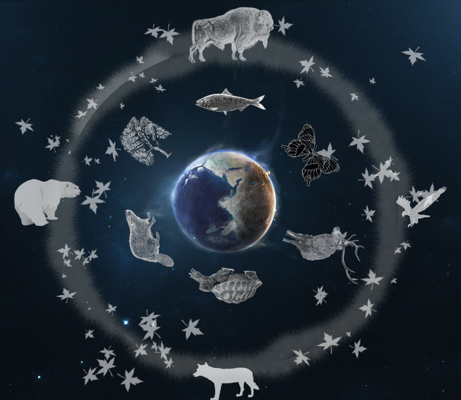 Philosophies and Theories from Waking Life to Lucid Dreams