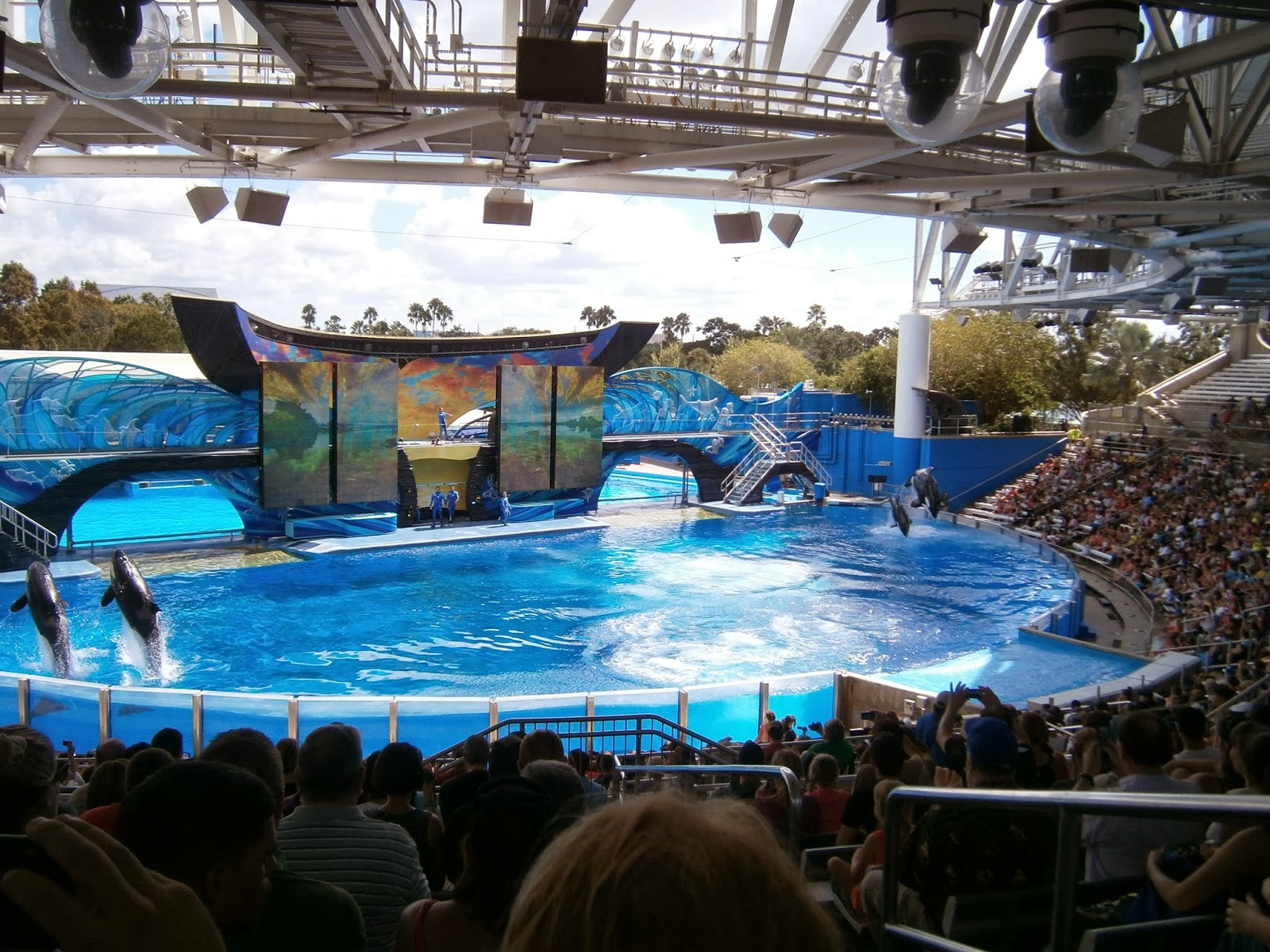 Les voyages Tischkien: Jour 15 - SeaWorld Orlando
