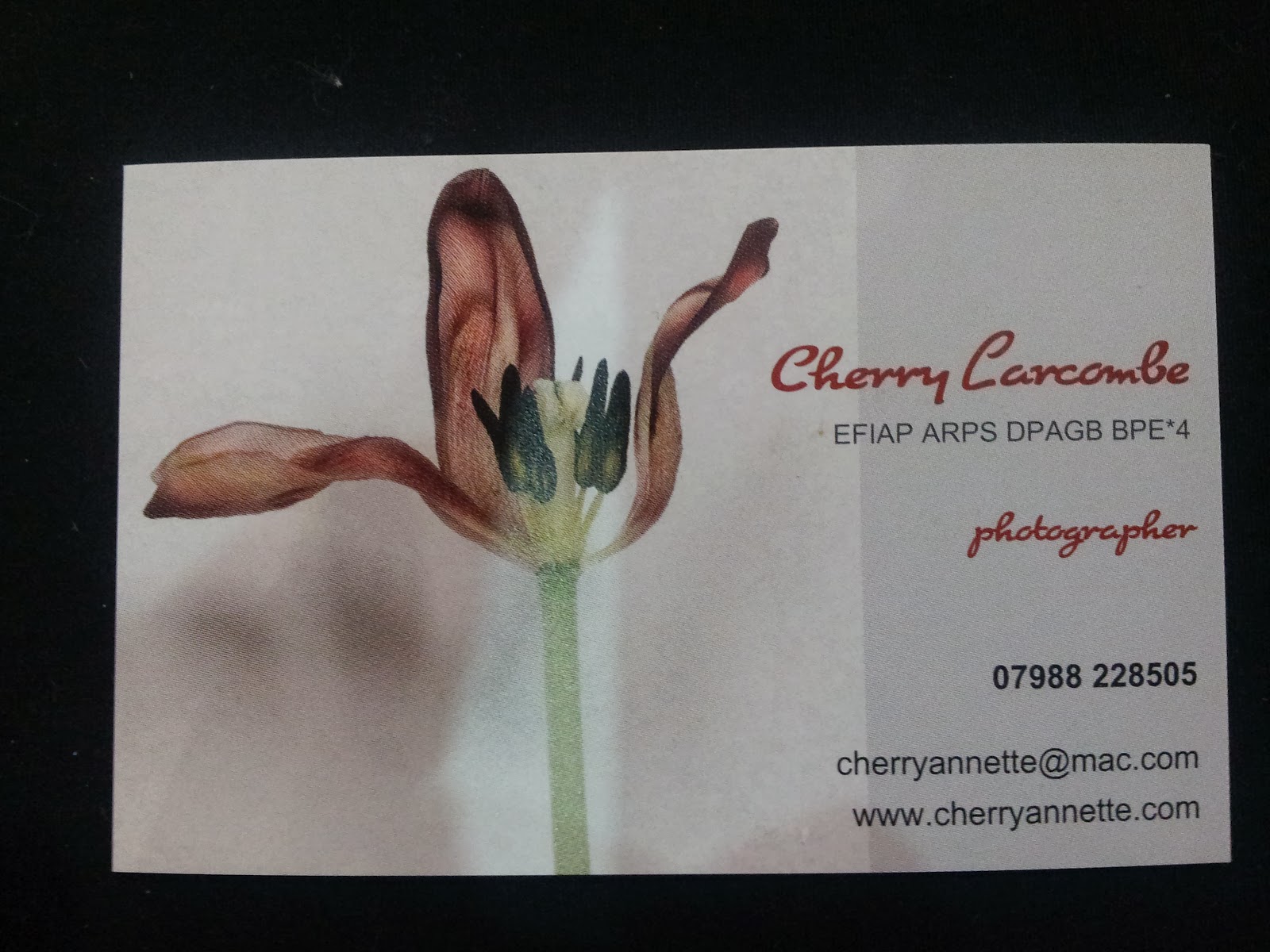 thanetonline: Cherry Larcombe Photographer Exhibition at The York ...