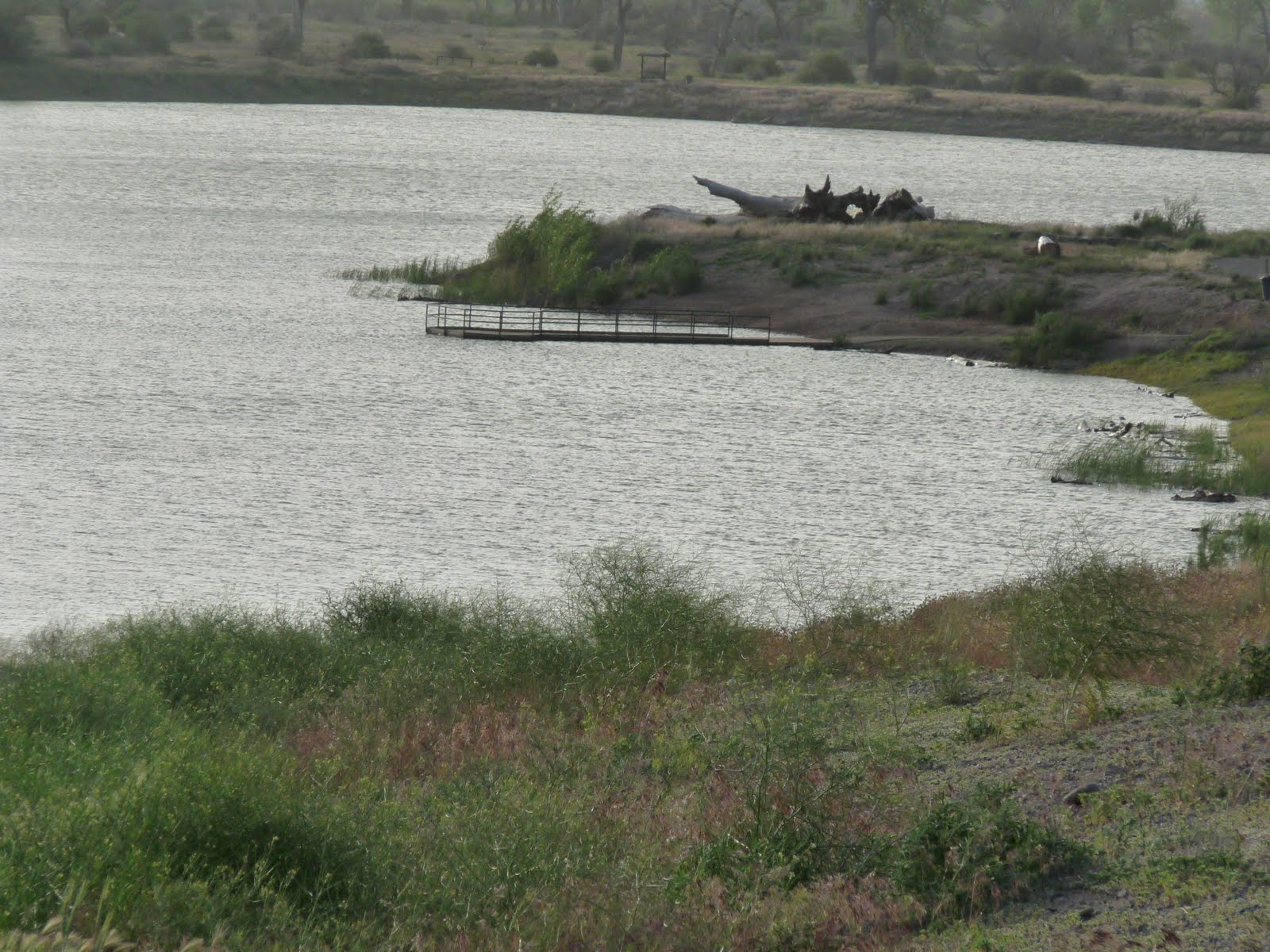 Here's to all about Fruita.: The Colorado River rises