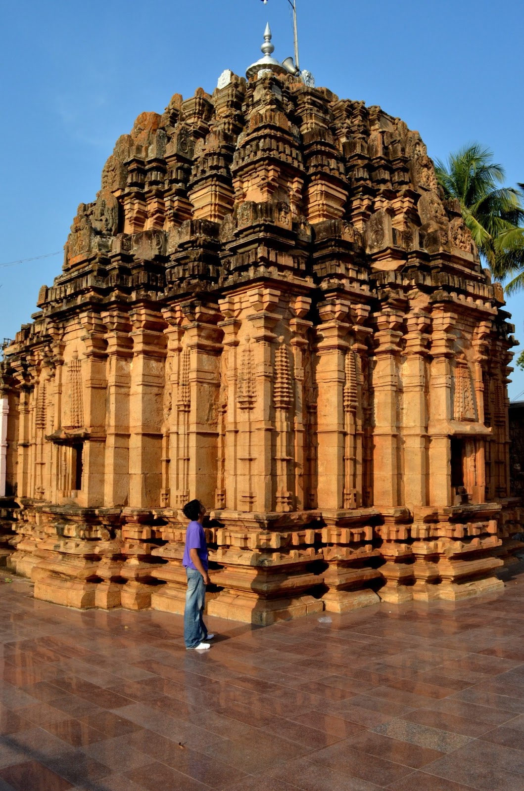 Travel, Trek and Hike Forever: DudhSagar / Doodhsagar trekking ...