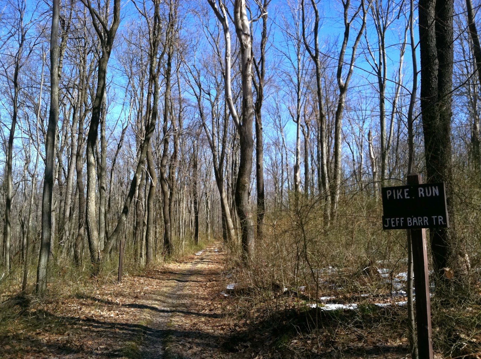 Snow and Jaggers: Forbes State Forest: Mountain Streams Trail System