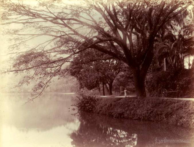 NAKARAJAN: MATALE REBELLION 1848- VEERAPURAN APPU BORN NOVEMBER 7,1812