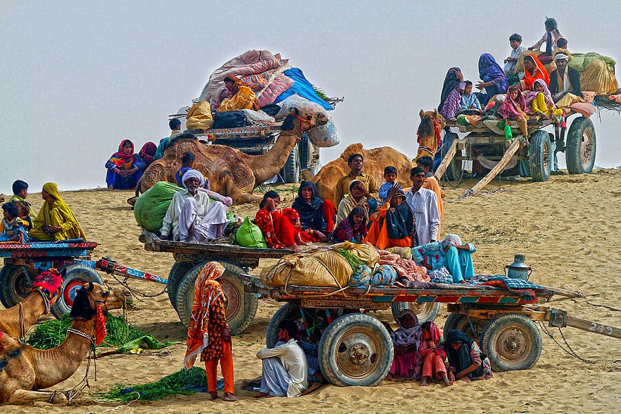 Saraikistan Movement