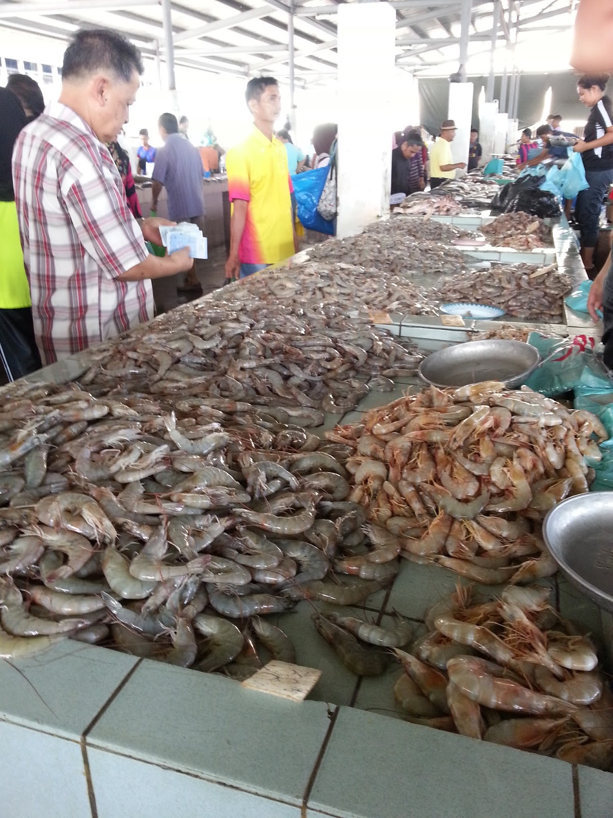 Life is colorful: Udang Harimau di Pasar Basah KK