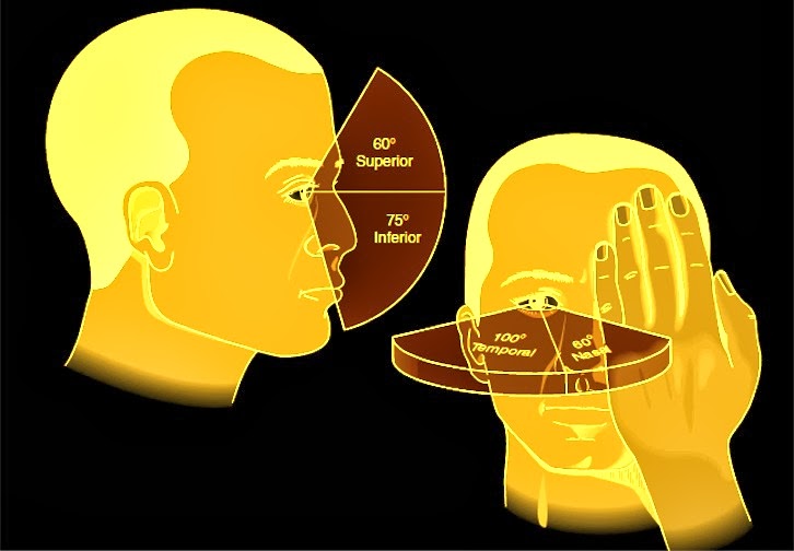 Pemeriksaan Klinis Neurologi: Pemeriksaan saraf mata