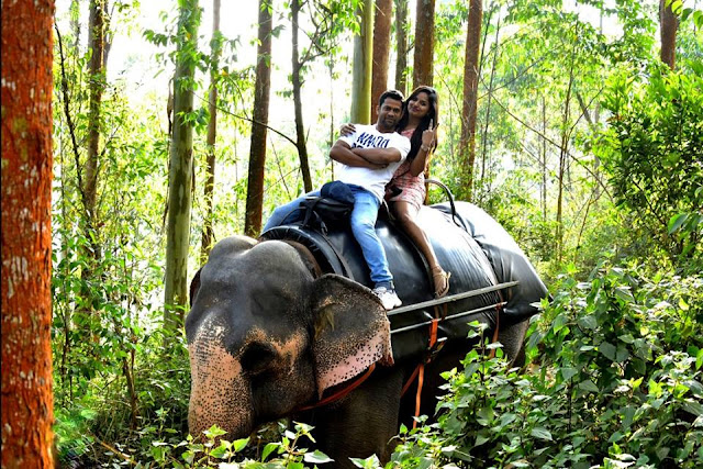 Carmelagiri Elephant Park - Elephant Ride In Munnar - Travelet