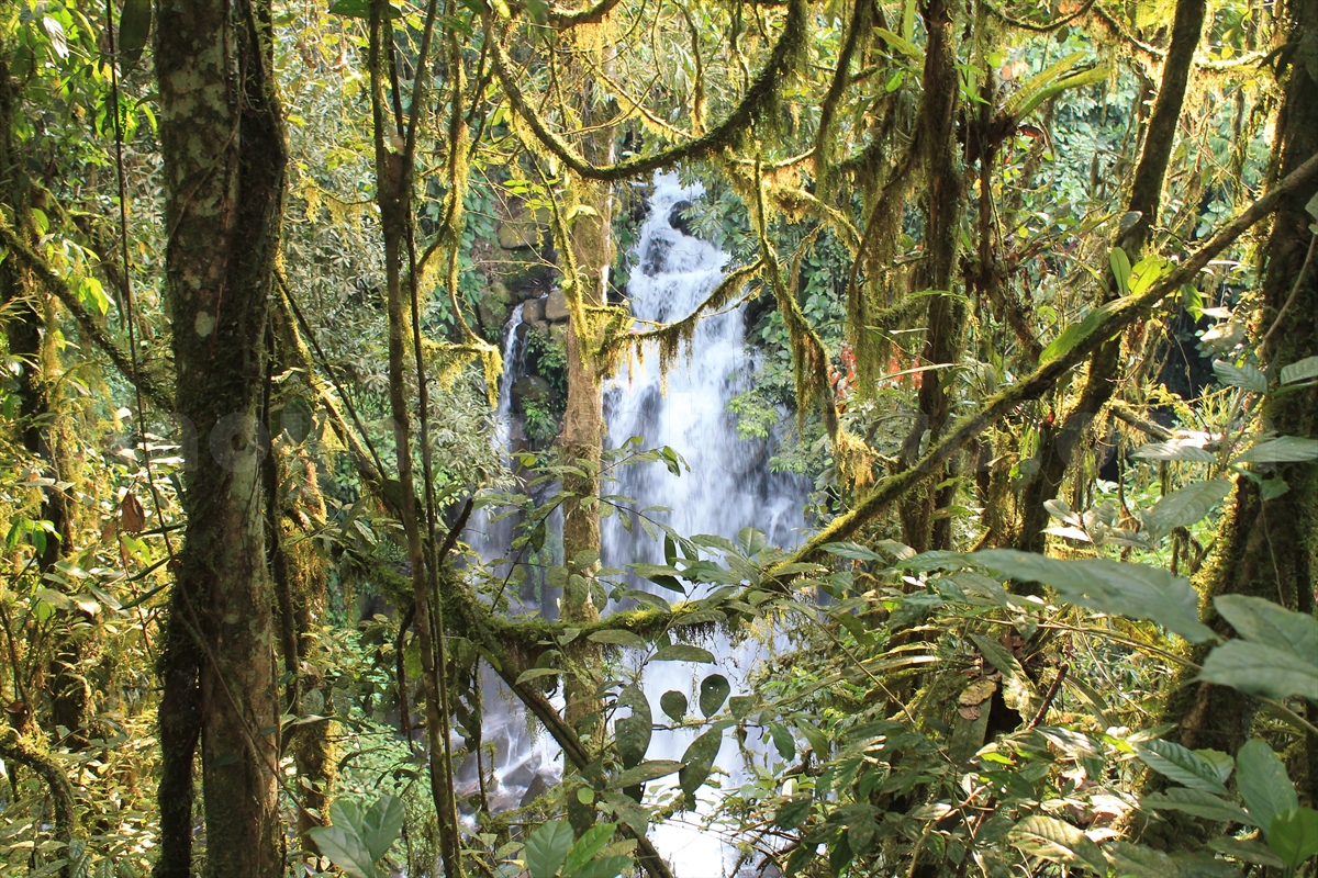 Bukidnon - Hiking and Waterfalls Hopping at The Center for Ecological ...