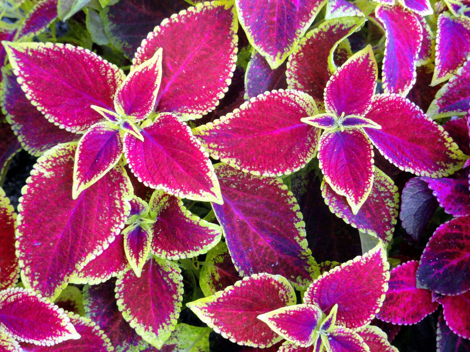 Grains of Sand: Gallery: Photography of Ariel Murphy