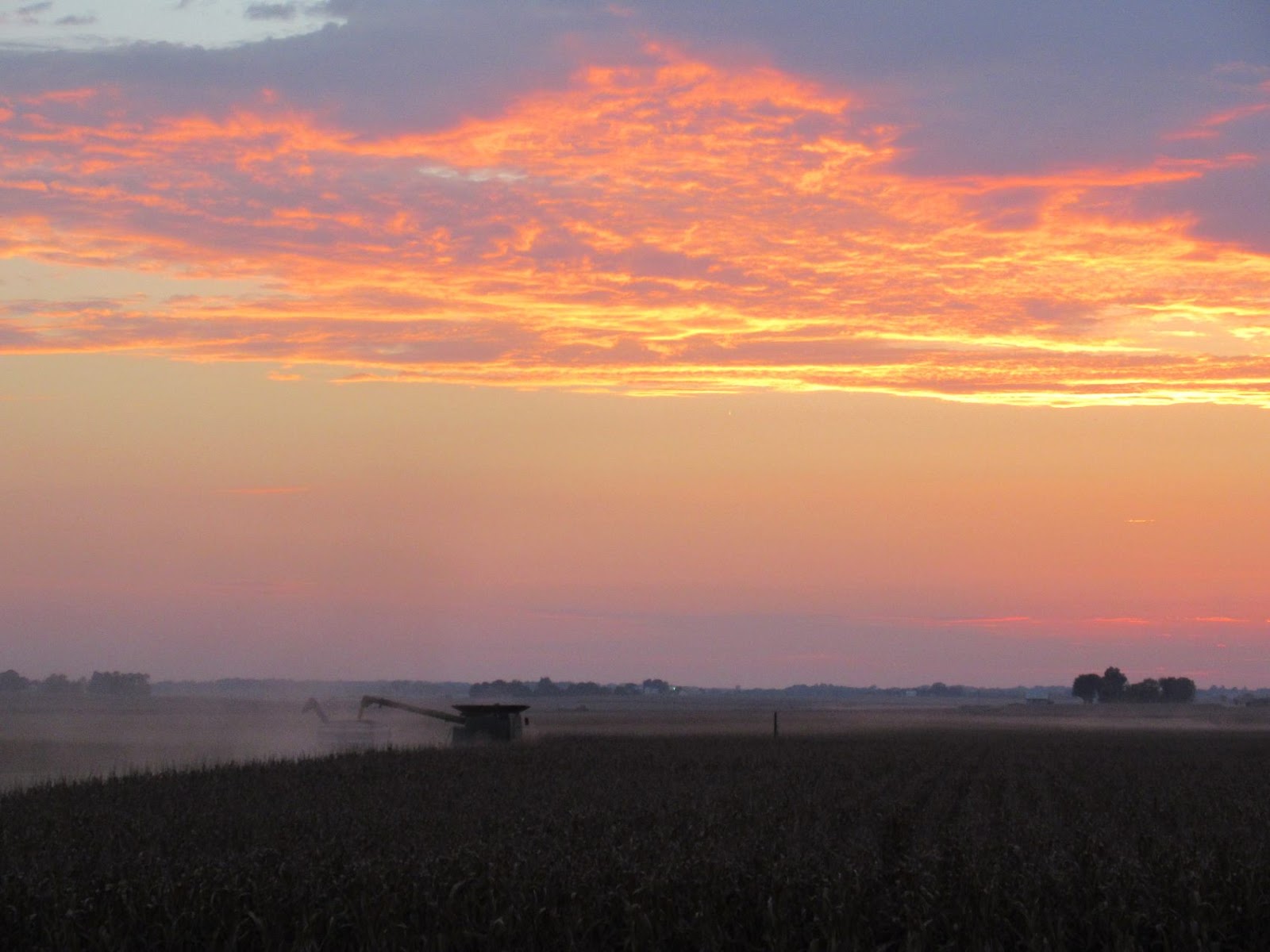 Three Things Very Dull Indeed