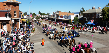 The Holiday and Travel Magazine: The Scone Equine Hospital Horse ...
