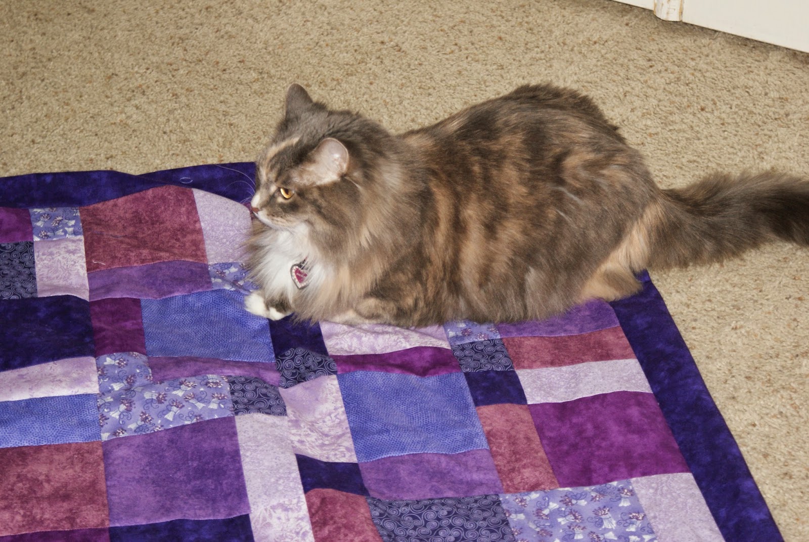 The Quilting Kitty's Quilt History: Jenny Doan's Disappearing Nine Patch