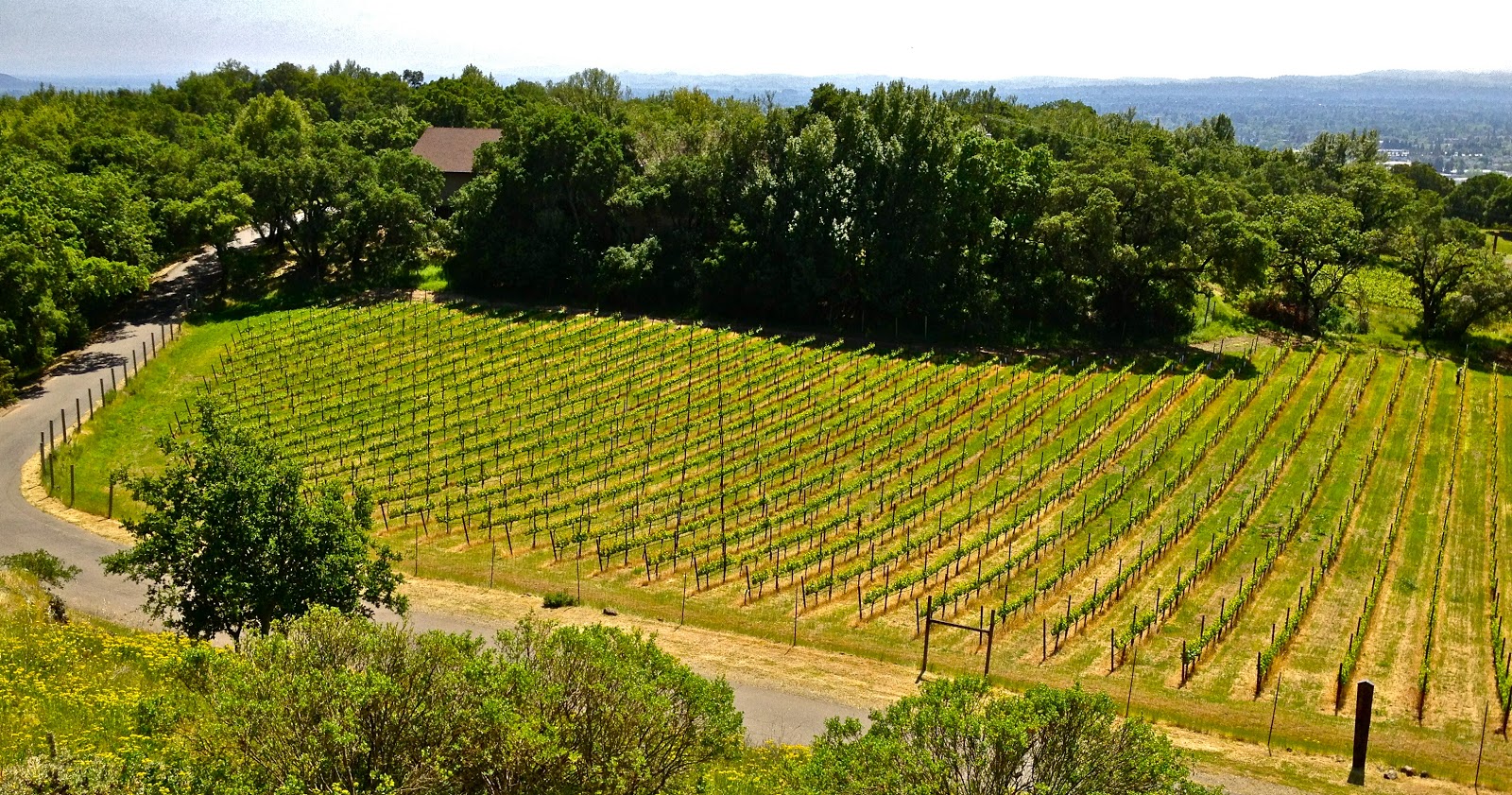 f. duncan reyes events by design: VENUE SPOTLIGHT: PARADISE RIDGE WINERY