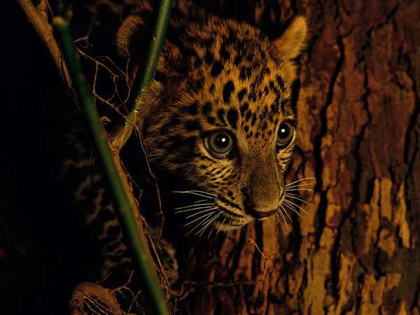 Daylee News Nuggets: News Nuggets 827