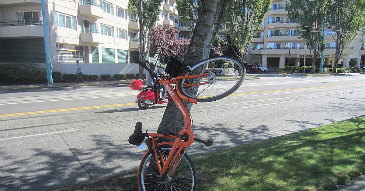 Andrey Solovyev: Велосипеды, лифт, опера и снова бананы