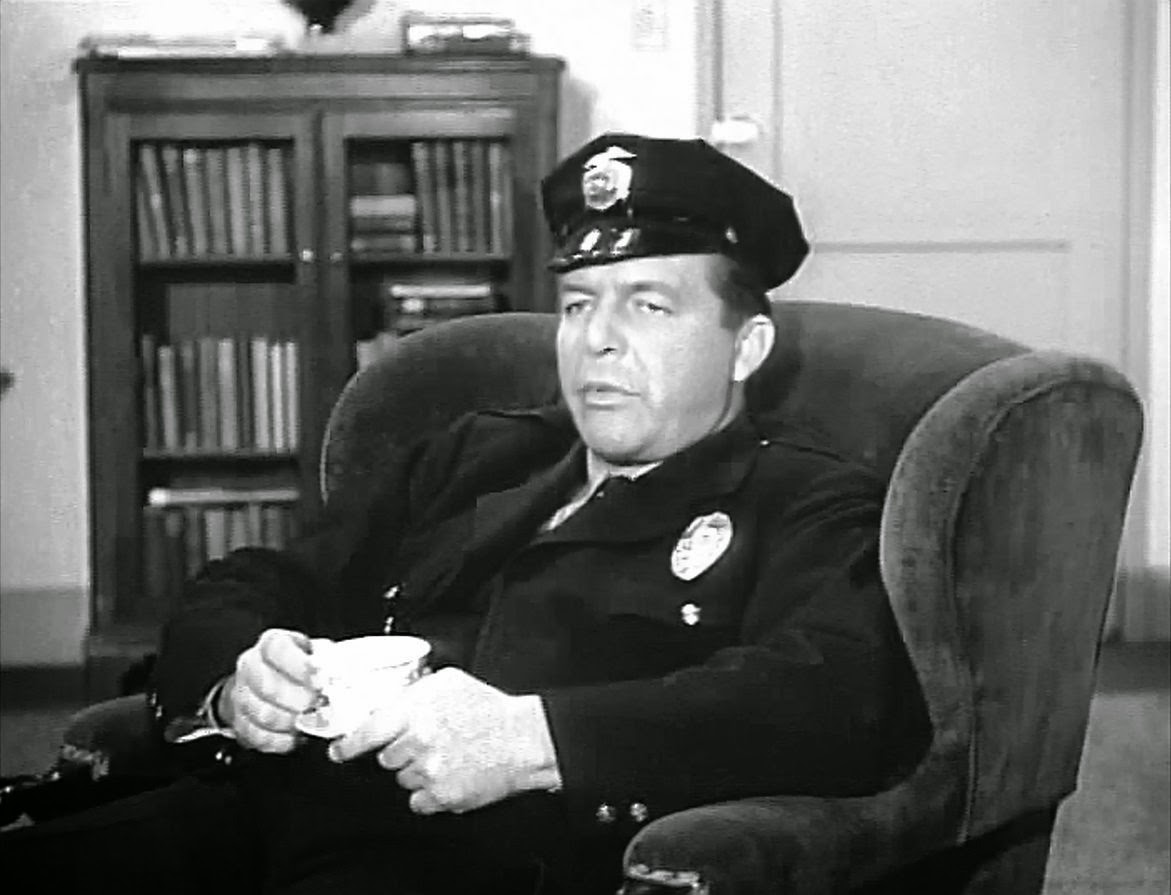 Thrilling Days of Yesteryear: The Summer of MeTV Classic TV Blogathon ...