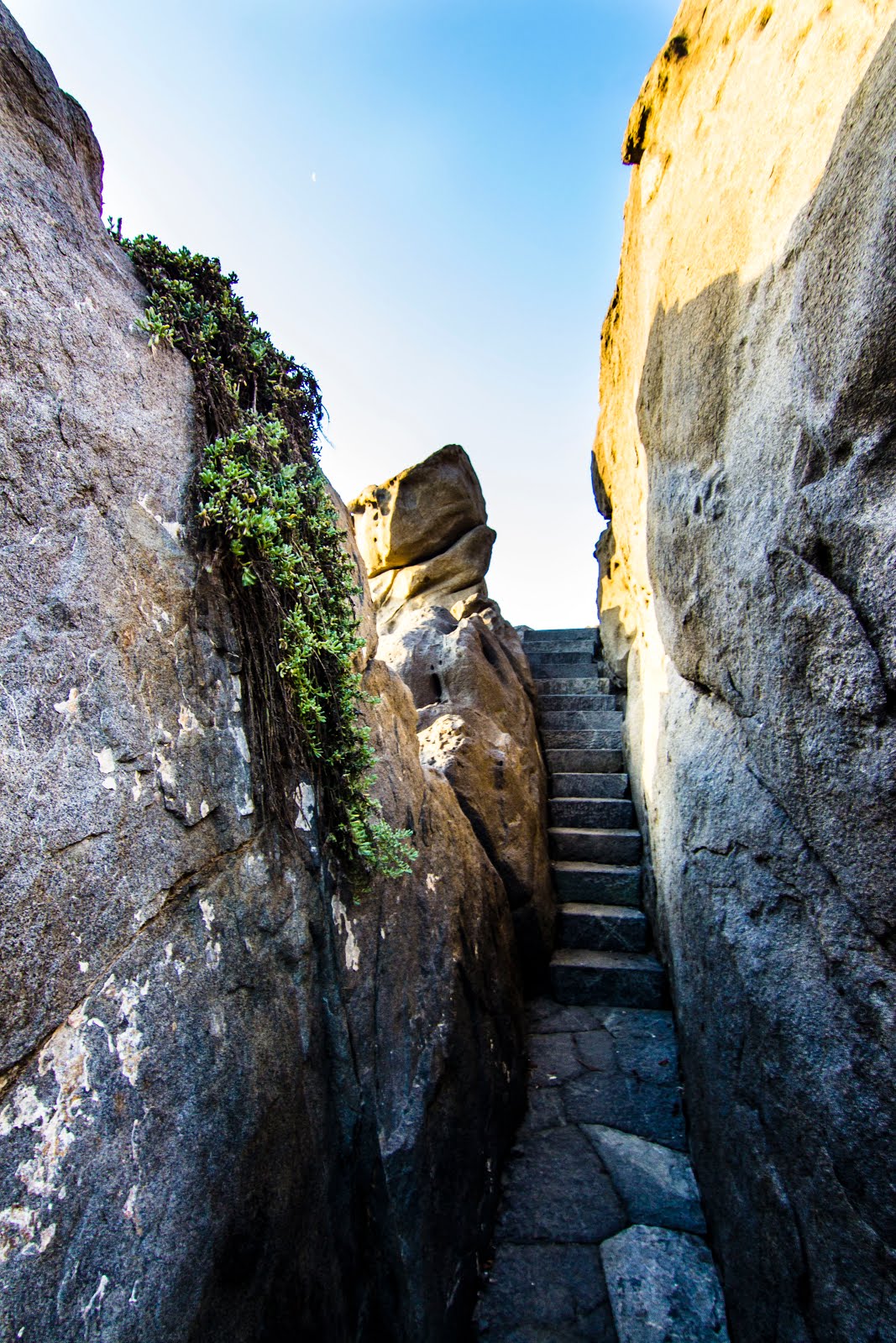 Un paseo por Punta Pite, un proyecto paisajístico de Teresa Moller ...